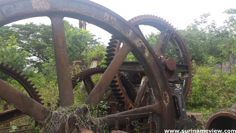 Plantage Peperpot en Mariënburg | Suriname View